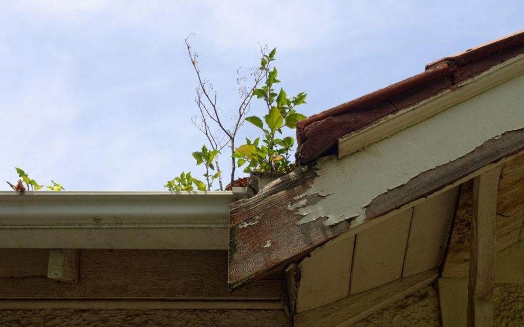 The Importance Of Keeping Your Eavestroughs Clear Of Leaves And Debris ...