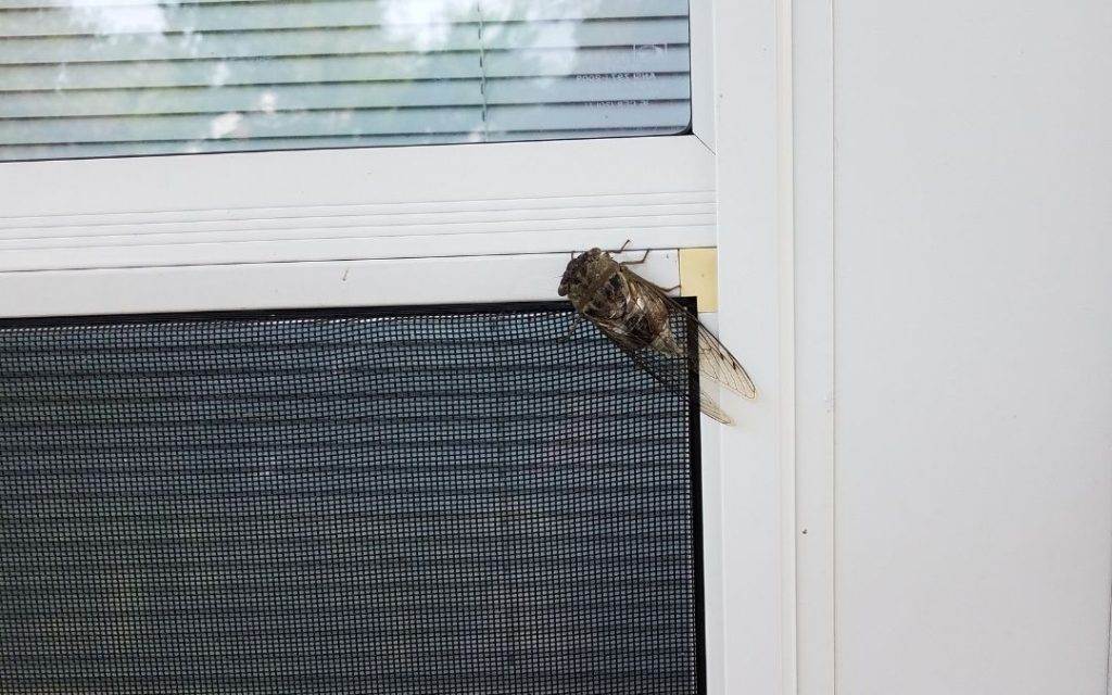 Latest Innovations In Windows And Doors - Top Rated Barrie Windows ...